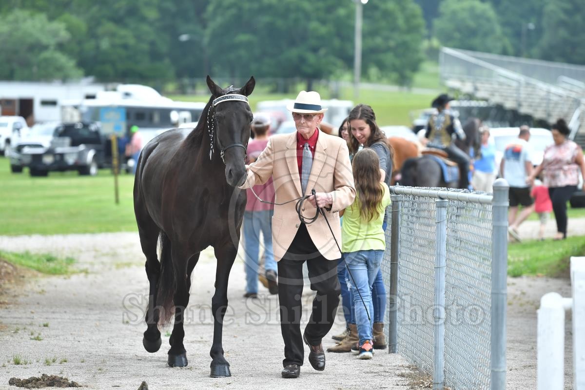 2022 Columbia Spring Jubilee - Horse Show Proofs - 2022 Proofs - Shane ...