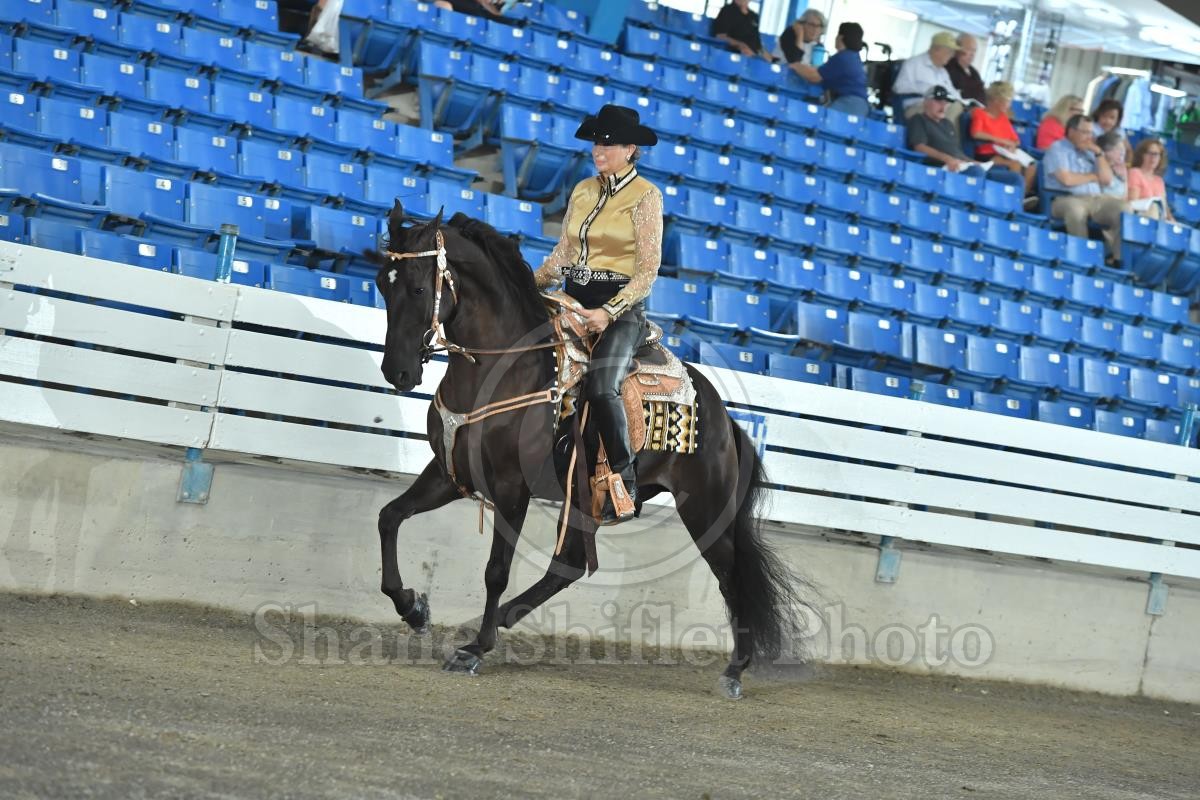 2022 TWH Celebration - Horse Show Proofs - 2022 Proofs - Shane Shiflet ...