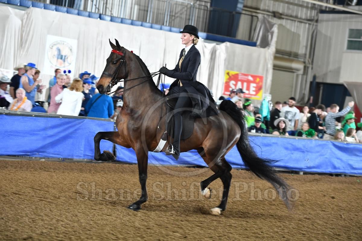 2023 Gasparilla Charity Show - Horse Show Proofs - 2023 Proofs - Shane ...