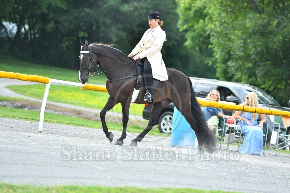 2023 Walking For The Angels - Horse Show Proofs - 2023 Proofs - Shane ...
