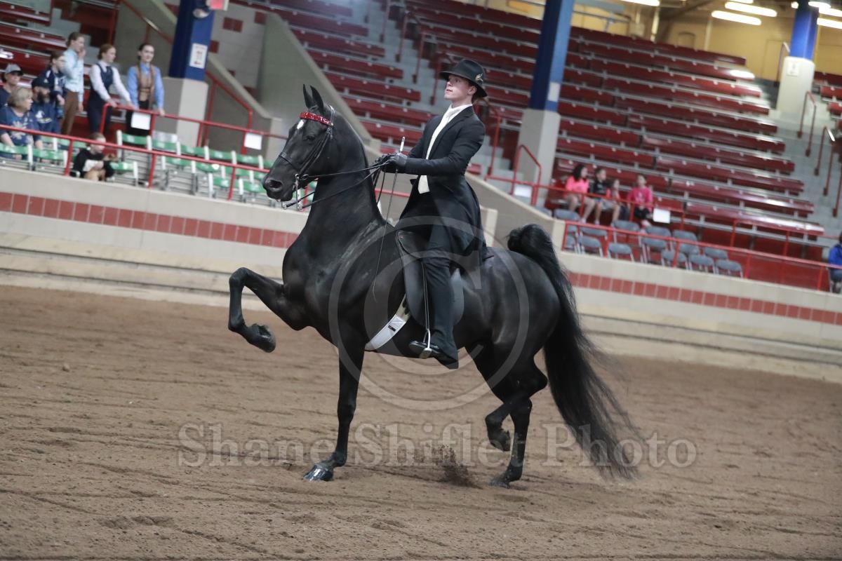 2023 Syracuse International - Horse Show Proofs - 2023 Proofs - Shane ...
