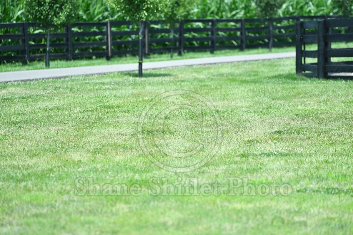 2023 FU - Photo Shoots - Shane Shiflet Photography