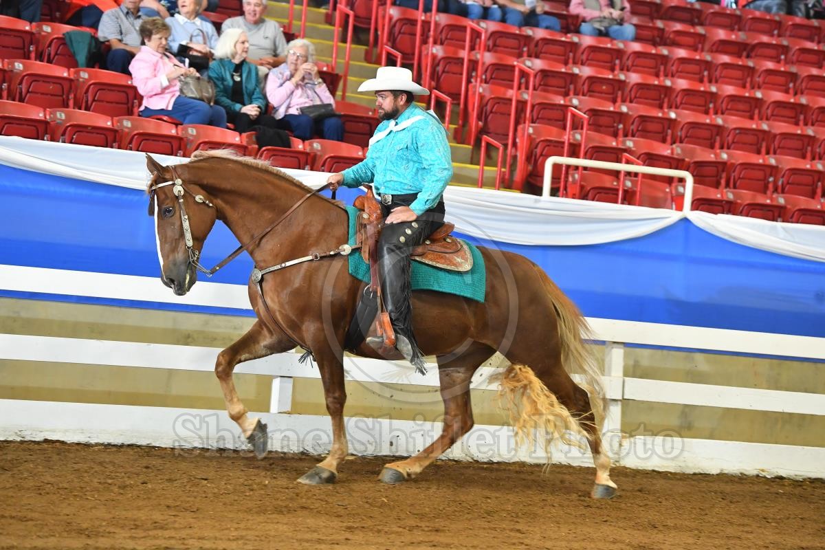 2023 NC Championship Walking Horse Show - Horse Show Proofs - 2023 ...