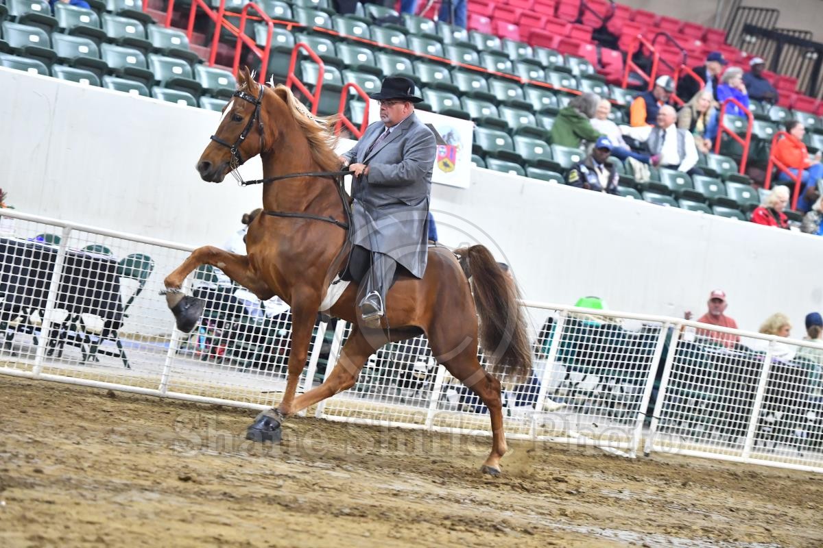 2023 UNITED Fall Finale - Horse Show Proofs - 2023 Proofs - Shane ...
