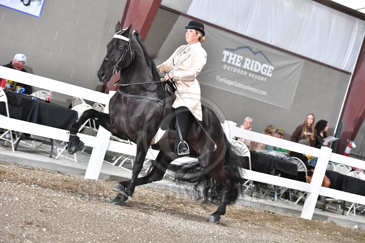 2024 Walking In The Smokies - Horse Show Proofs - 2024 Proofs - Shane ...