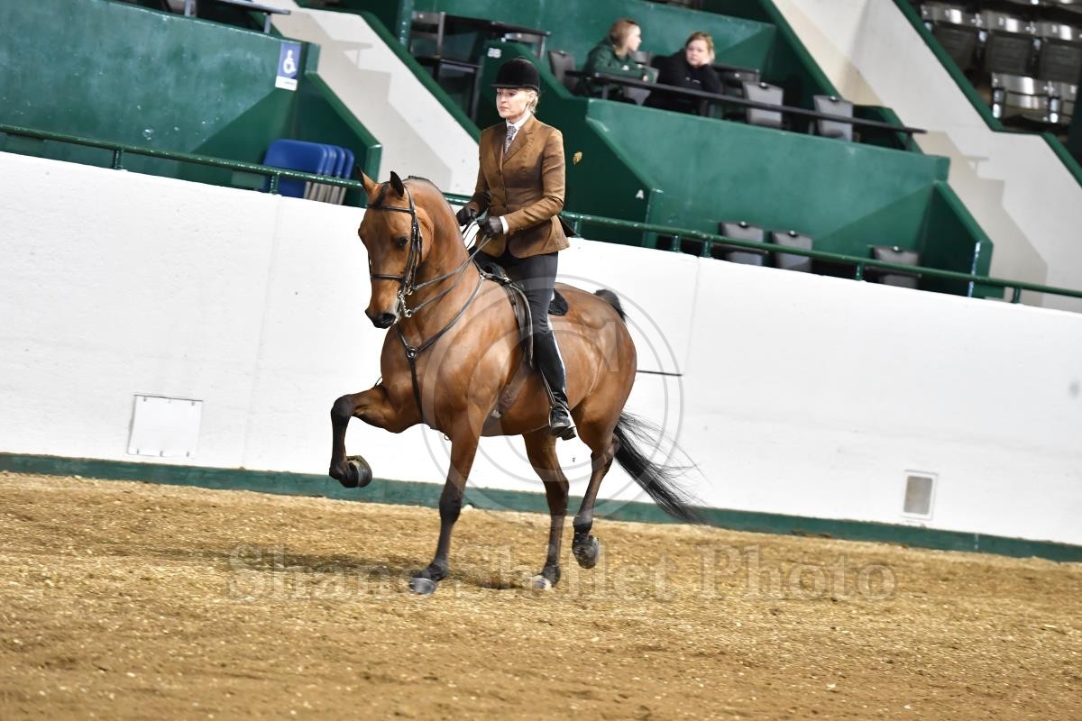 2024 FASH Spring Show - Horse Show Proofs - 2024 Proofs - Shane Shiflet ...