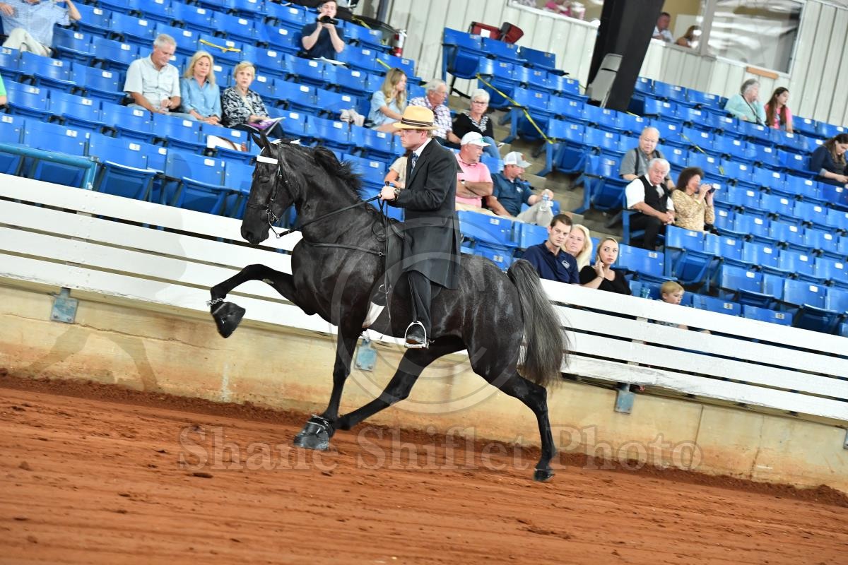 2024 Spring Fun Show - Horse Show Proofs - 2024 Proofs - Shane Shiflet ...
