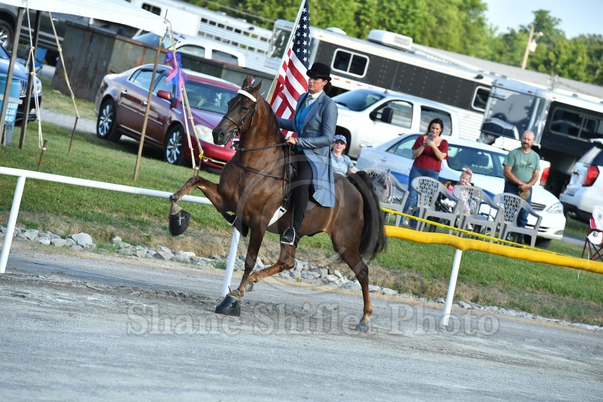 2024 Christmas In July - Horse Show Proofs - 2024 Proofs - Shane ...