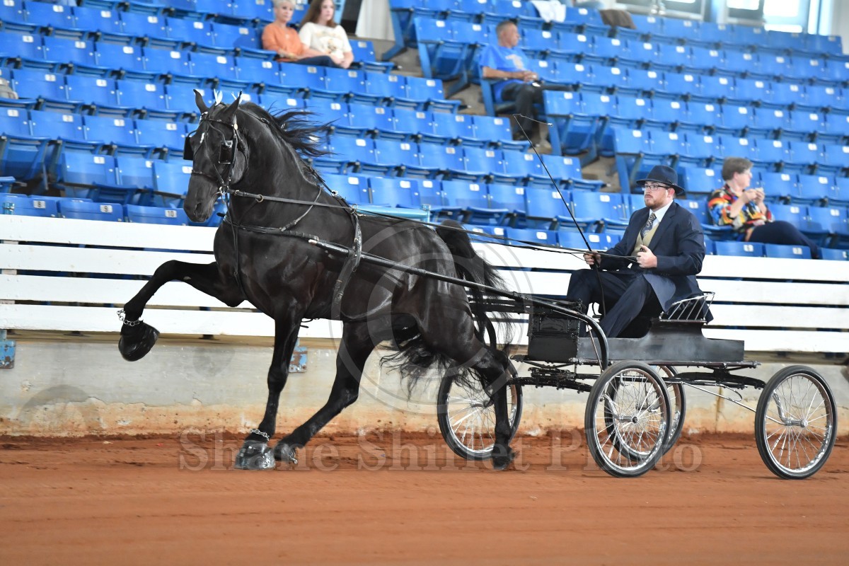 2025 Spring Fun Show - Horse Show Proofs - 2025 Proofs - Shane Shiflet ...