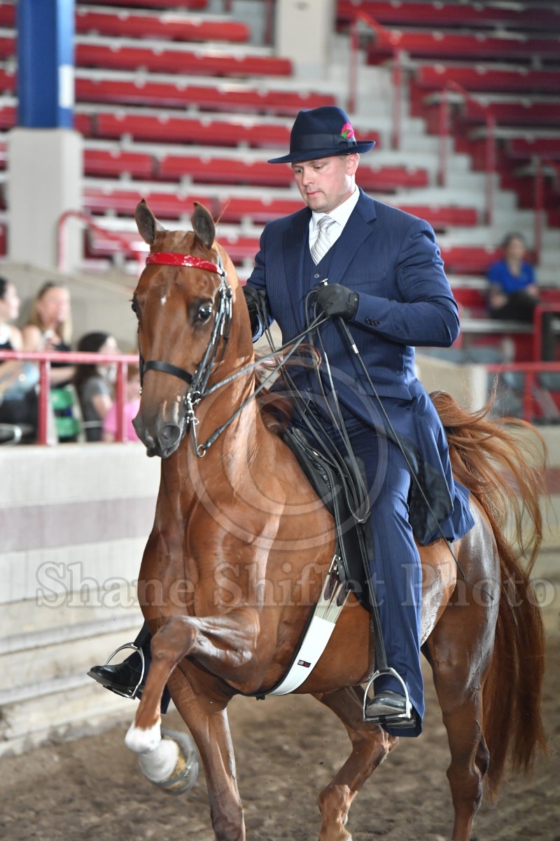 2025 Syracuse International - Horse Show Proofs - 2025 Proofs - Shane ...