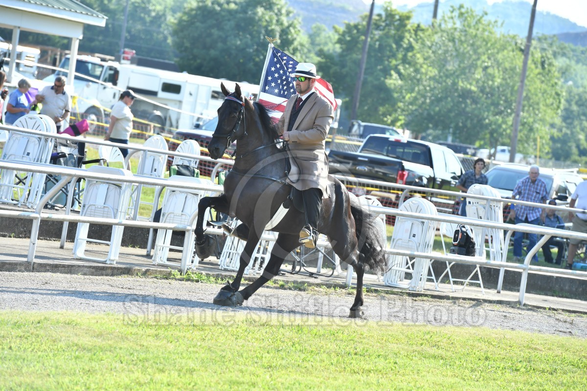 2025 89th Woodbury Lions Club Show - Horse Show Proofs - 2025 Proofs ...