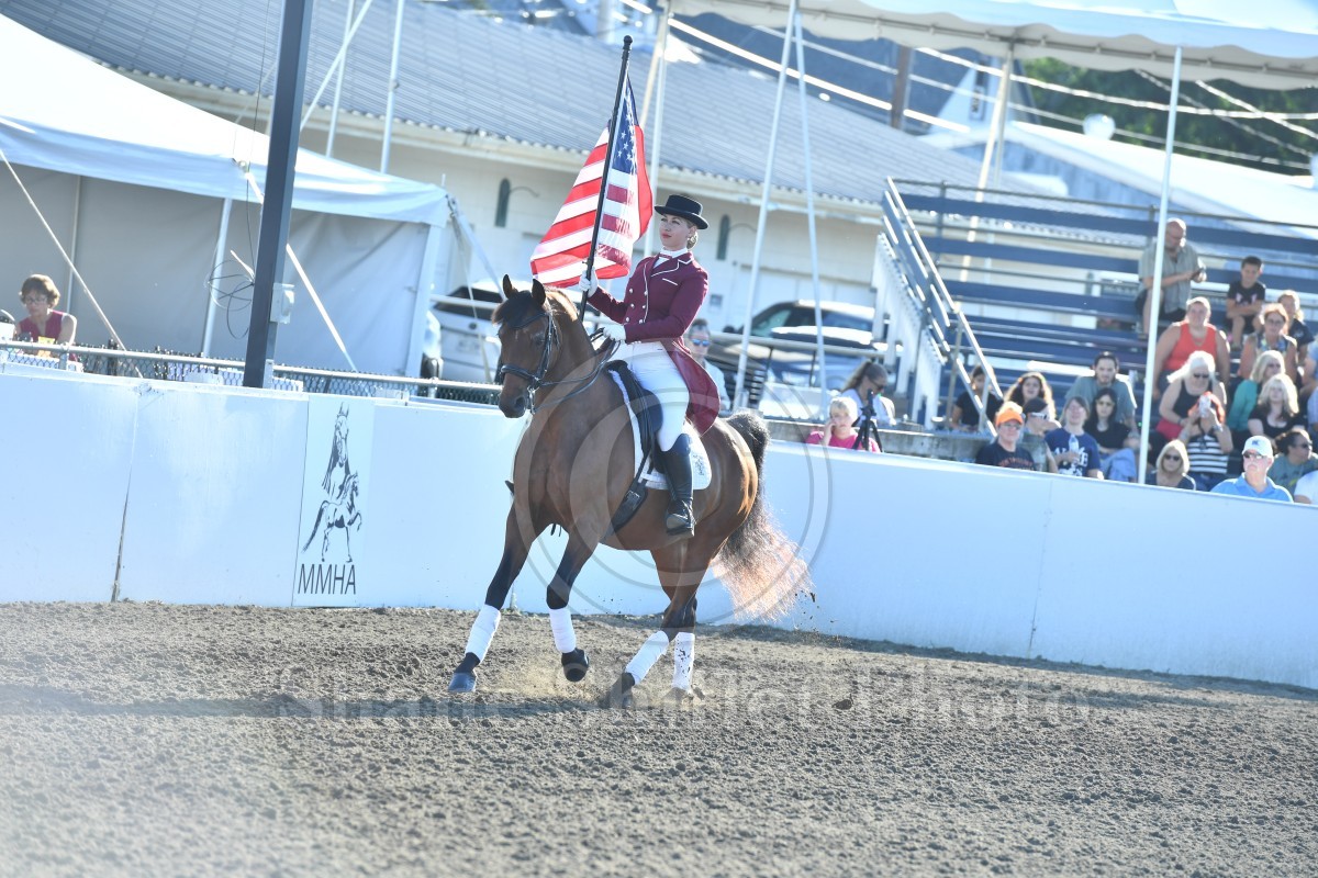 2025 New England Morgan - Friday Morning - Horse Show Proofs - 2025 ...