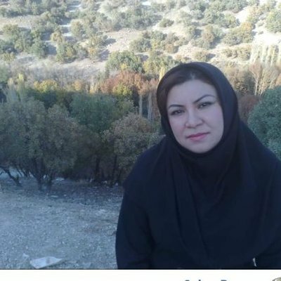 sahar rahbari | SheCodes