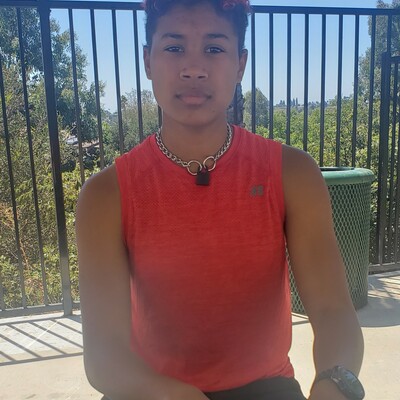 SheCodes Plus | SheCodes