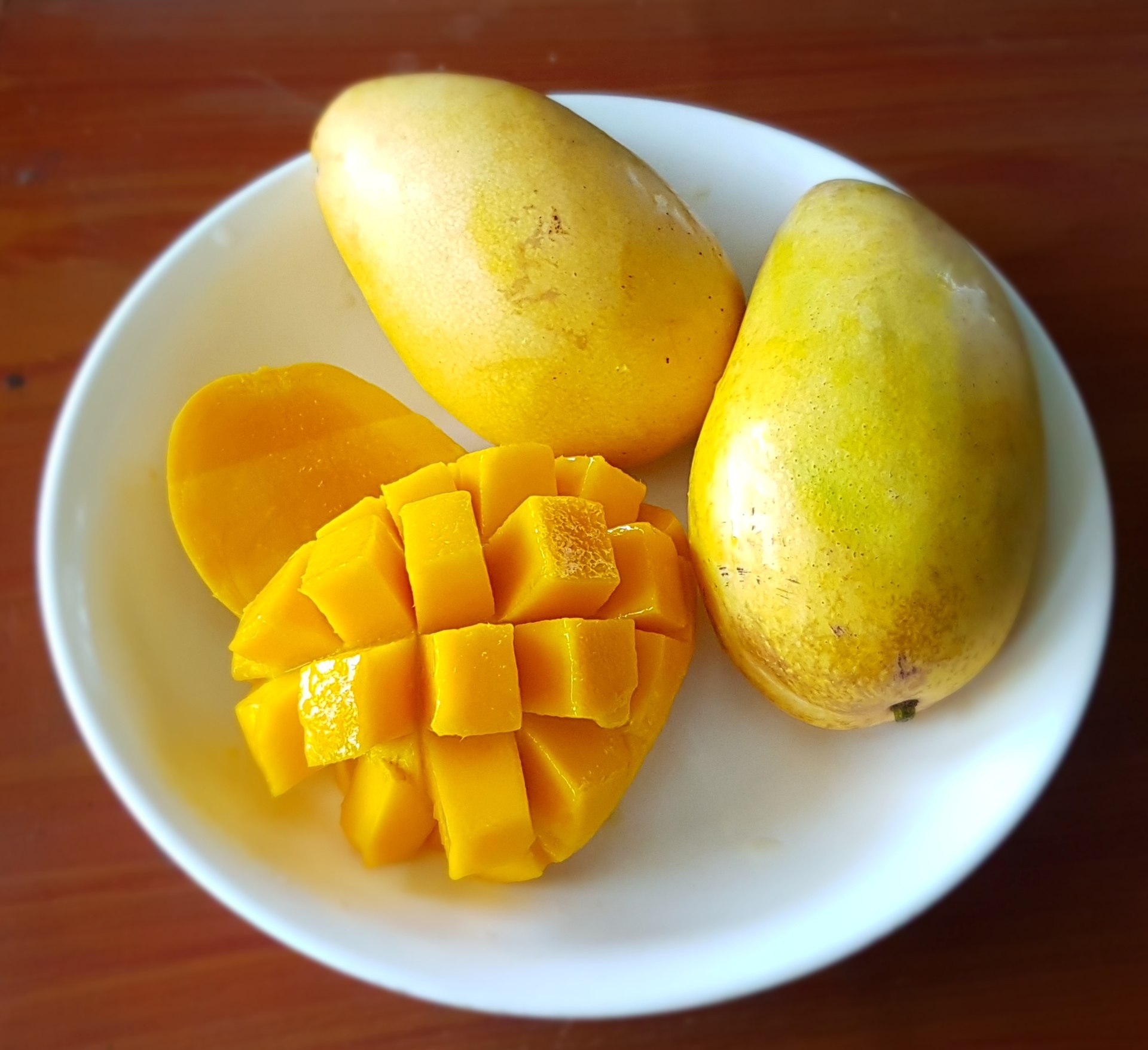 Mangoes are the best