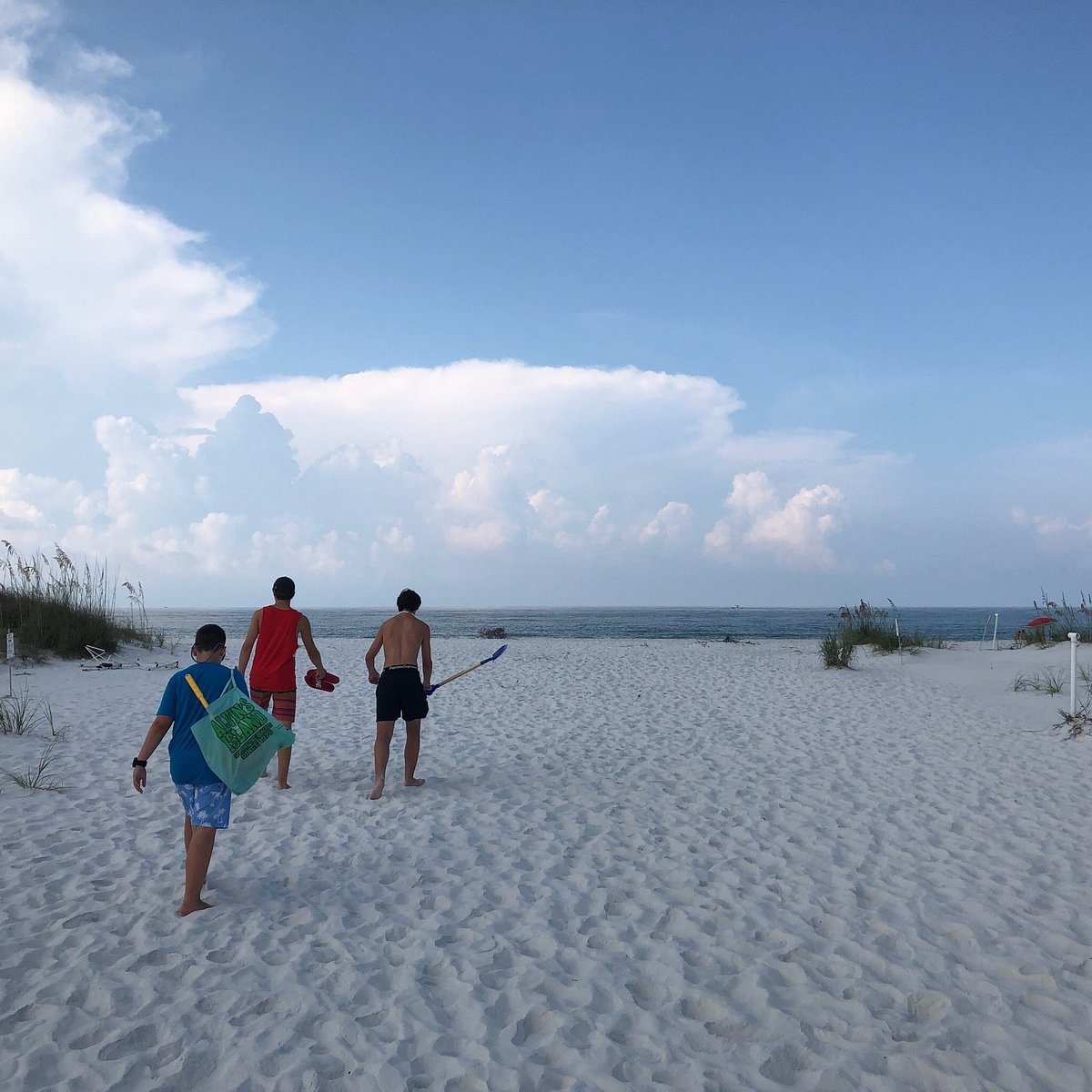 Why Is Shell Island Called Shell Island