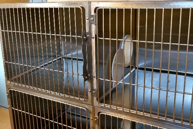 Cat Portals: Order Information and Instruction for Installation - UC ...