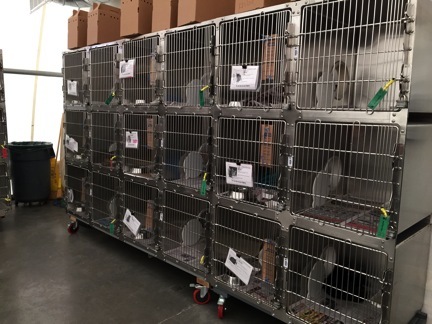 Cat Portals: Order Information and Instruction for Installation - UC ...