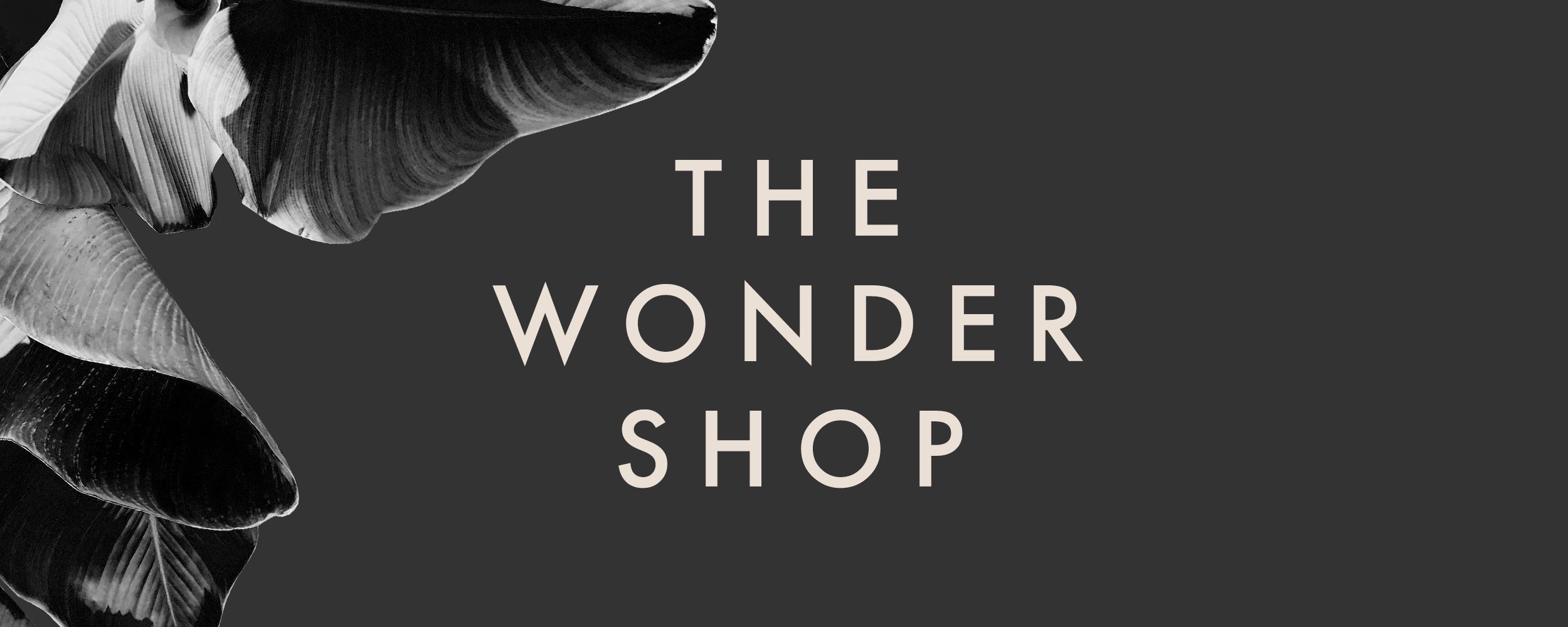 Wonder Collection – Bethel Store