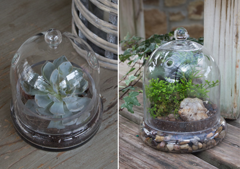Beautiful Terrarium Containers | Be Inspired | 46 & Spruce – 46 ...
