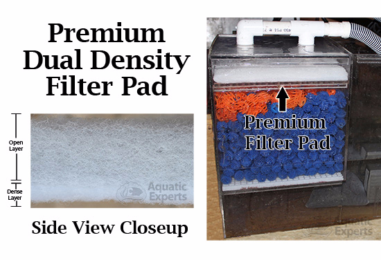 Aquatic Experts - Aquarium Tips and Tricks