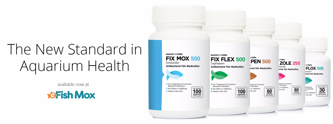 Fix Mox 500: The New Standard in Aquarium Health