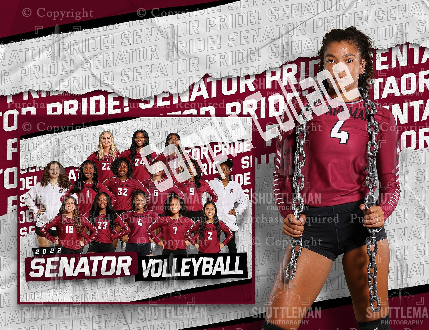 SHS Volleyball pictures are Ready to Order! - Blog - Shuttleman Photography