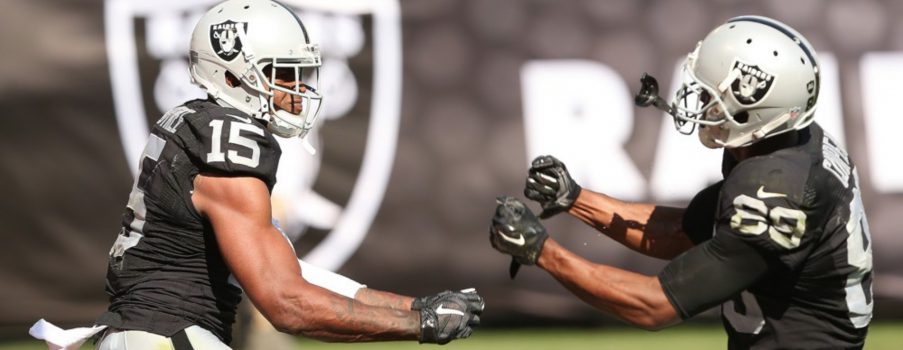 FantasyLabs NFL Week 11 Cheat Sheet - Daily Fantasy, DraftKings ...