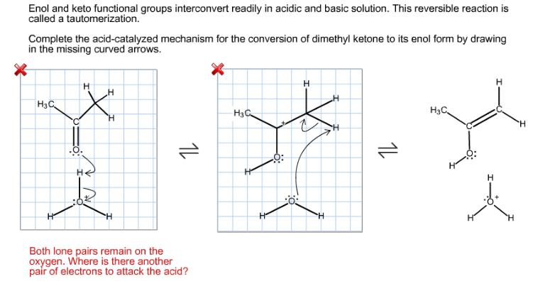 [Solved] Enol and keto functional groups interconv | SolutionInn