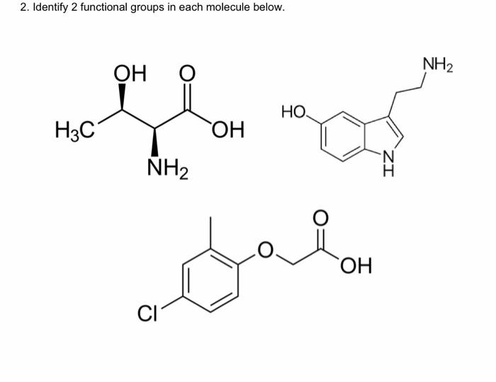 [Solved] 2. Identify 2 functional groups in each m | SolutionInn