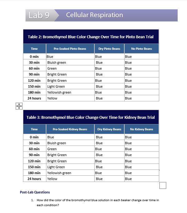 [Solved] We will evaluate respiration in beans by | SolutionInn