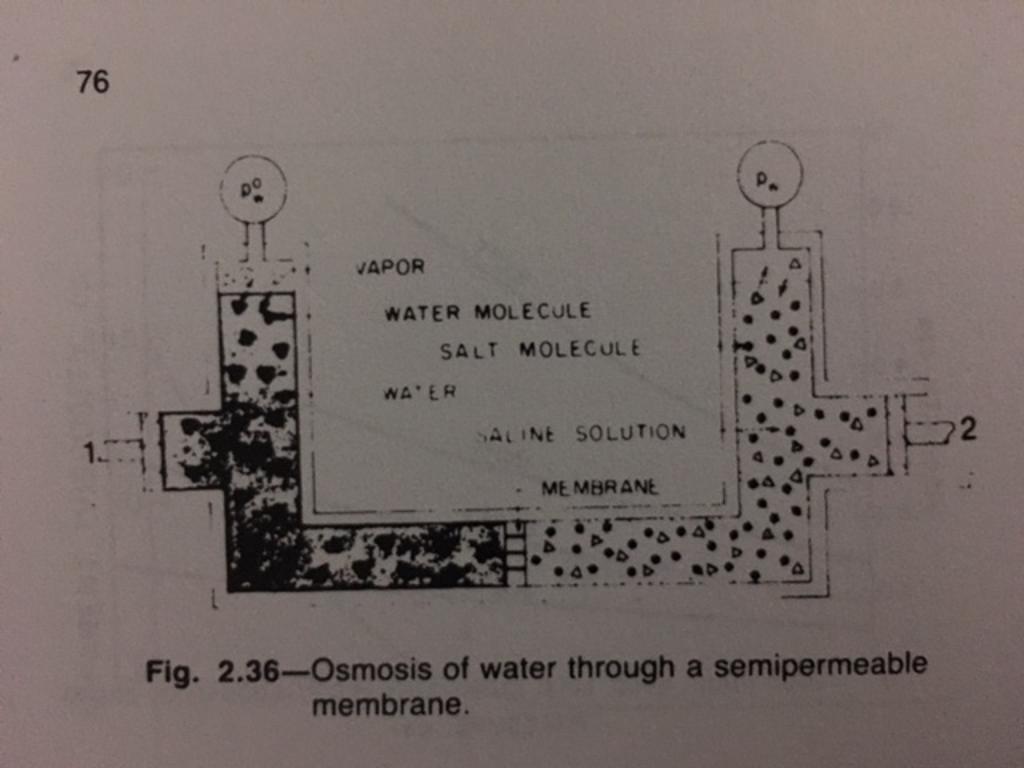 [Solved] Compute the osmotic pressure developed ac | SolutionInn