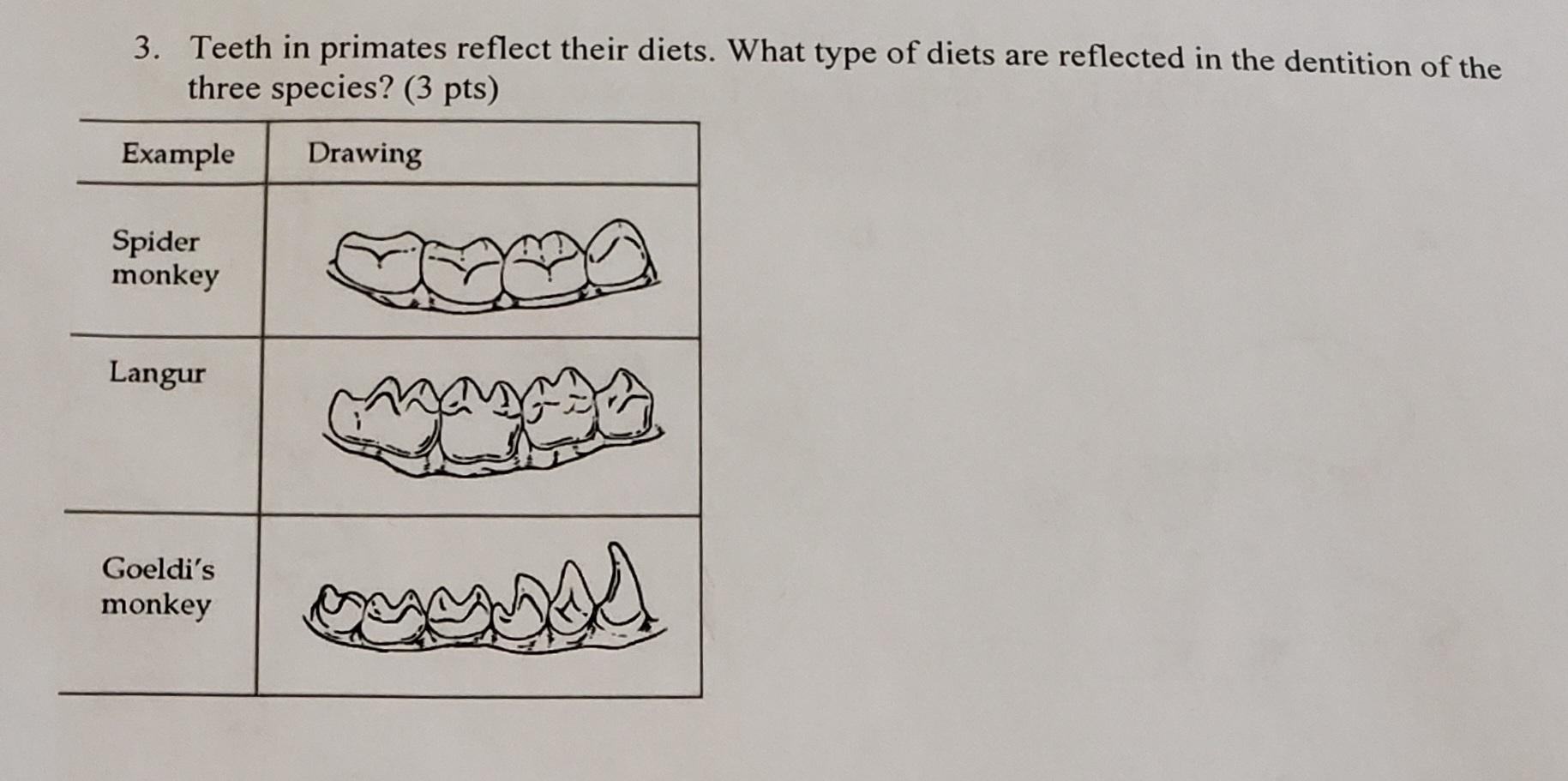 [Solved] 3. Teeth in primates reflect their diets. | SolutionInn