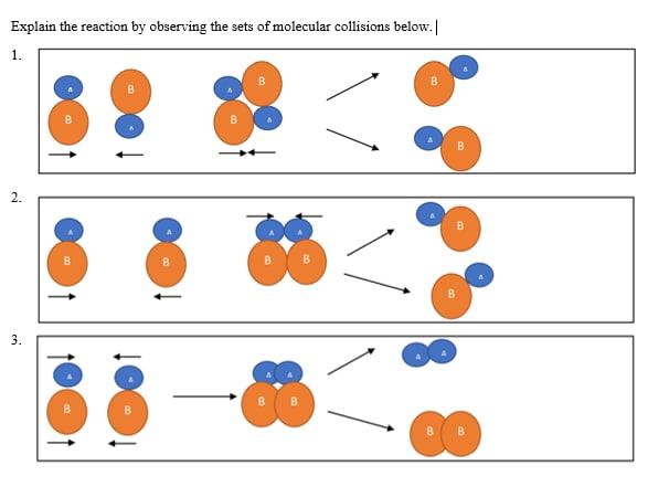 [Solved] Explain the reaction by observing the set | SolutionInn