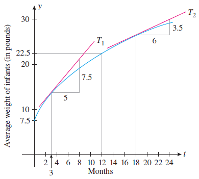 [Solved] The following graph shows the weight meas | SolutionInn