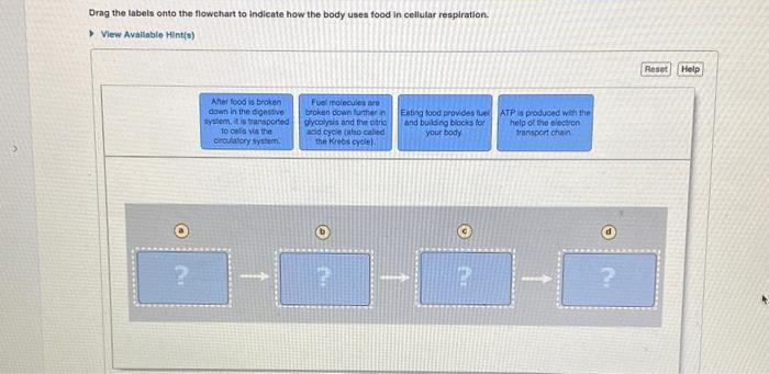 [Solved] Drag the labels onto the flowchart to ind | SolutionInn