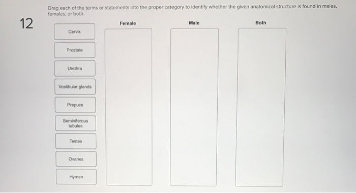 [Solved] 5 Correctly label the following structure | SolutionInn