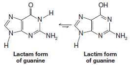 [Solved] (a) The most stable tautomeric form of gu | SolutionInn