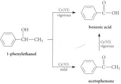 [Solved] A compound B has the formula C8H10. After | SolutionInn