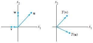 [Solved] The figure shows vectors u, v, and w, alo | SolutionInn