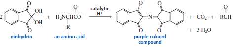[Solved] Ninhydrin reacts with an amino acid to fo | SolutionInn