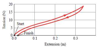 [Solved] The graph shows the tension in a rubber b | SolutionInn