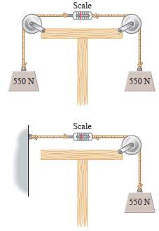 [Solved] The readings of the two spring scales sho | SolutionInn