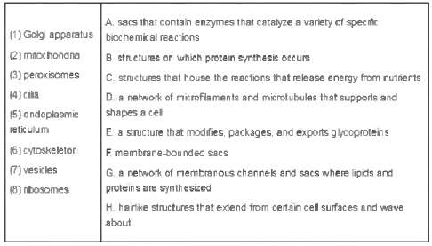 [Solved] Watch the following structures with their | SolutionInn