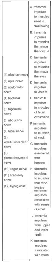 [Solved] Match the cranial nerve with its function | SolutionInn