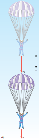 [Solved] A skydiver is falling straight down, along the negative y ...