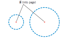 [Solved] The drawing shows the circular paths of a | SolutionInn