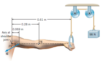 [Solved] The drawing shows an outstretched arm (0. | SolutionInn