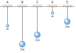 [Solved] Five simple pendulums are shown in the dr | SolutionInn