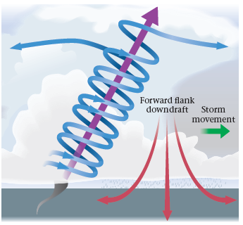 [Solved] Rain-cooled air near the core of a thunde | SolutionInn